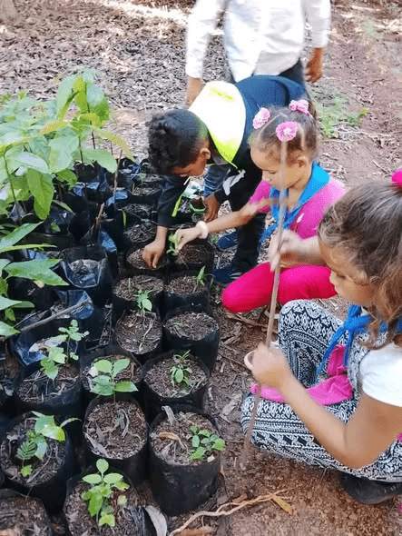 Celebran Día de la Diversidad Biológica en la Finca Agua Santa | Radio ...